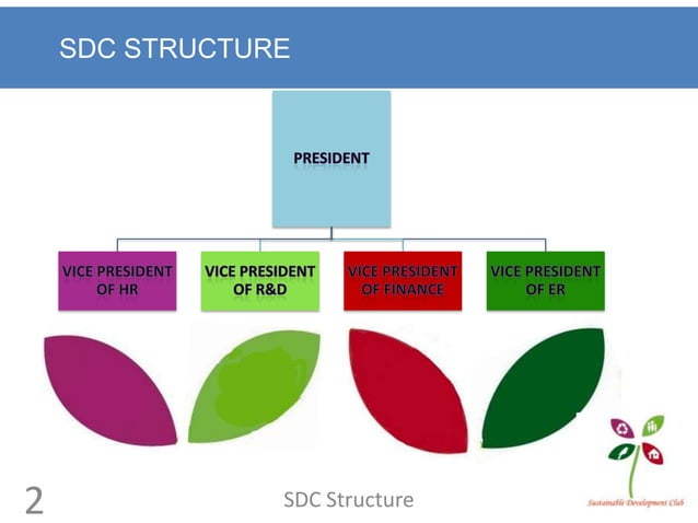 Sdc structure by Ms Thao | PPTX