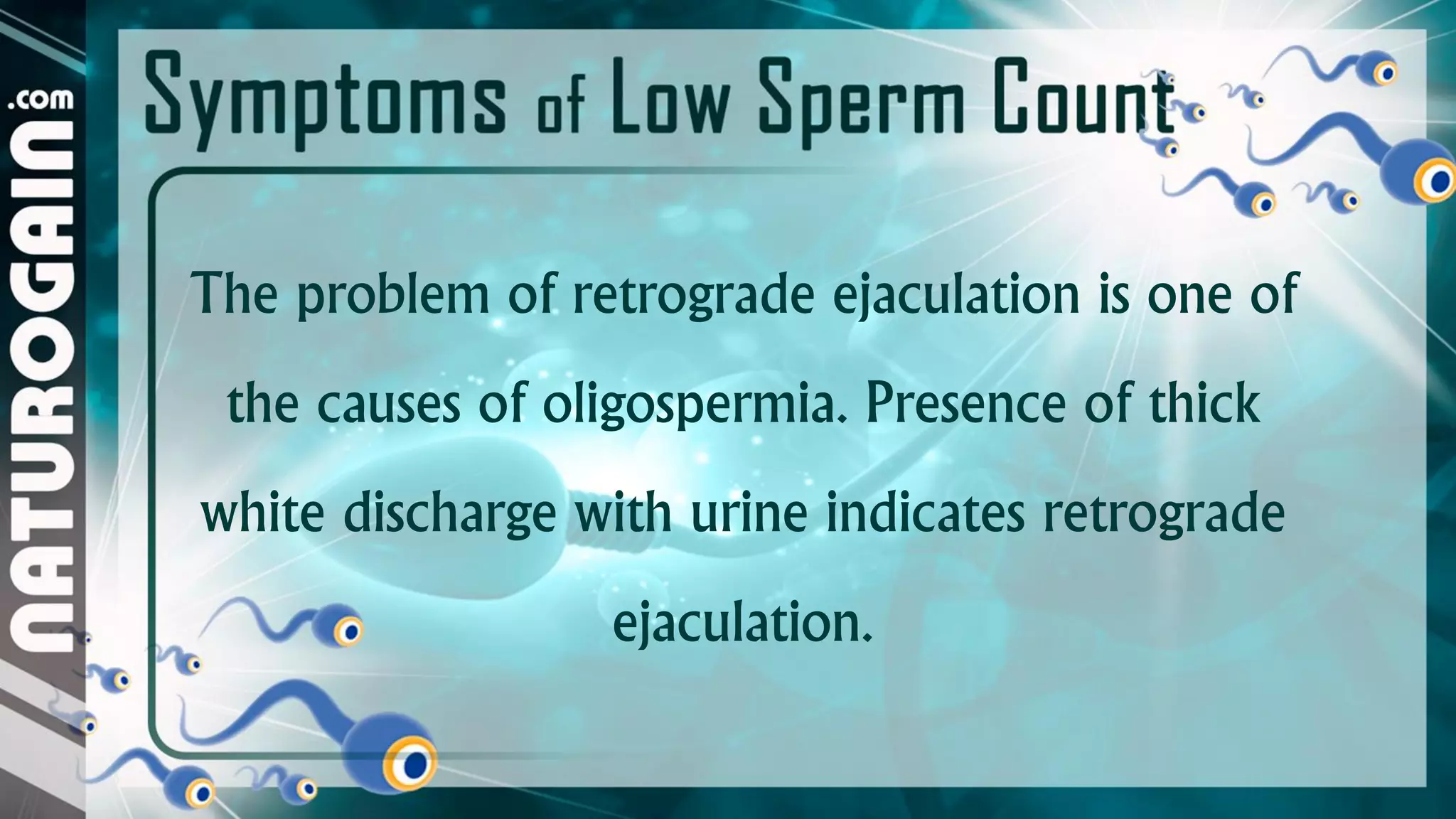 11 Warning Signs and Symptoms of Low Sperm Count, Oligospermia | PDF