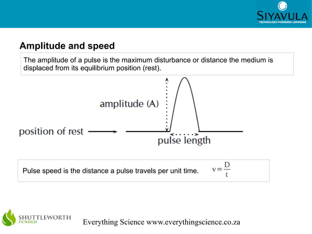 Transverse pulses | ODP | Physics | Science