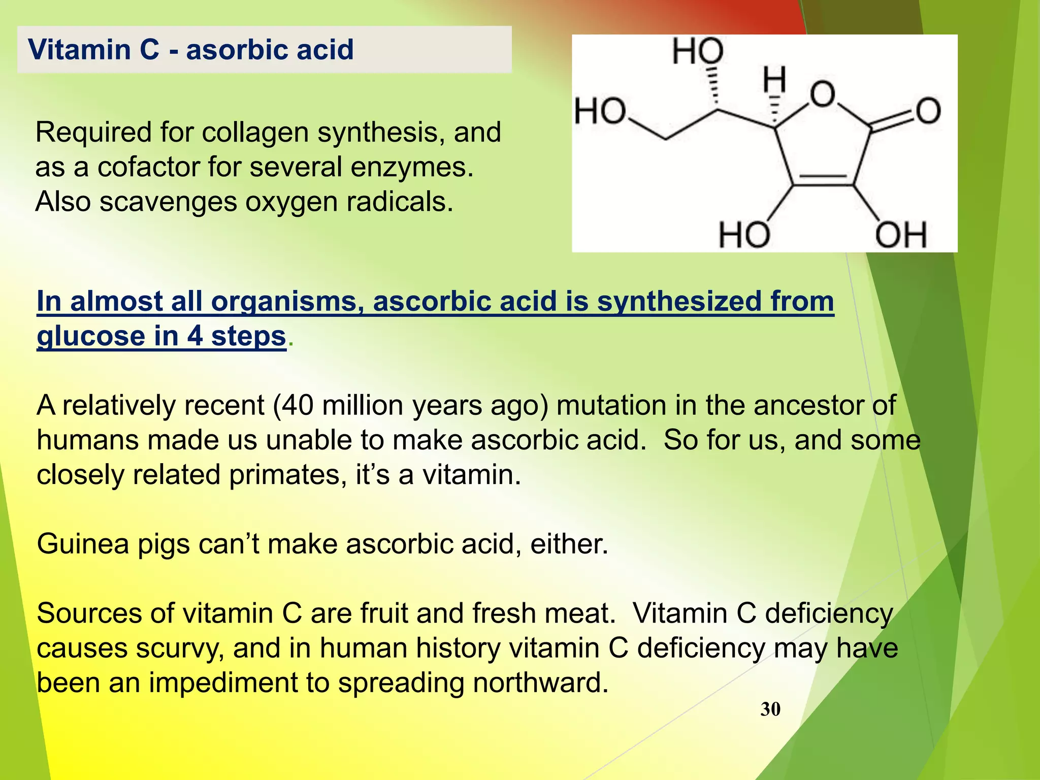 07 - Vitamins.ppt