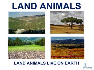 WHERE DO ANIMALS LIVE? | PPS