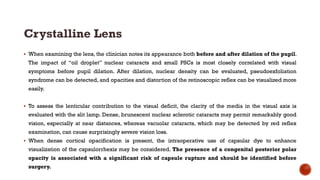 Measurement visual function - external examination - slitlamp ...