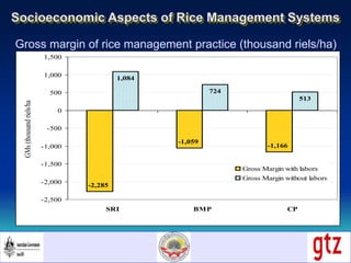 0703 Survey of SRI and Other Rice Management Practices on Acid Soils in ...