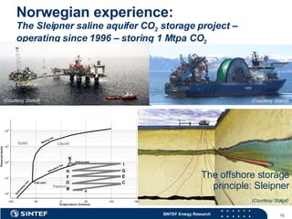 Polygeneration and CCS India | PPT | Power and Energy Industry | Industries