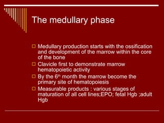 071709 Blood Physiology | PPT