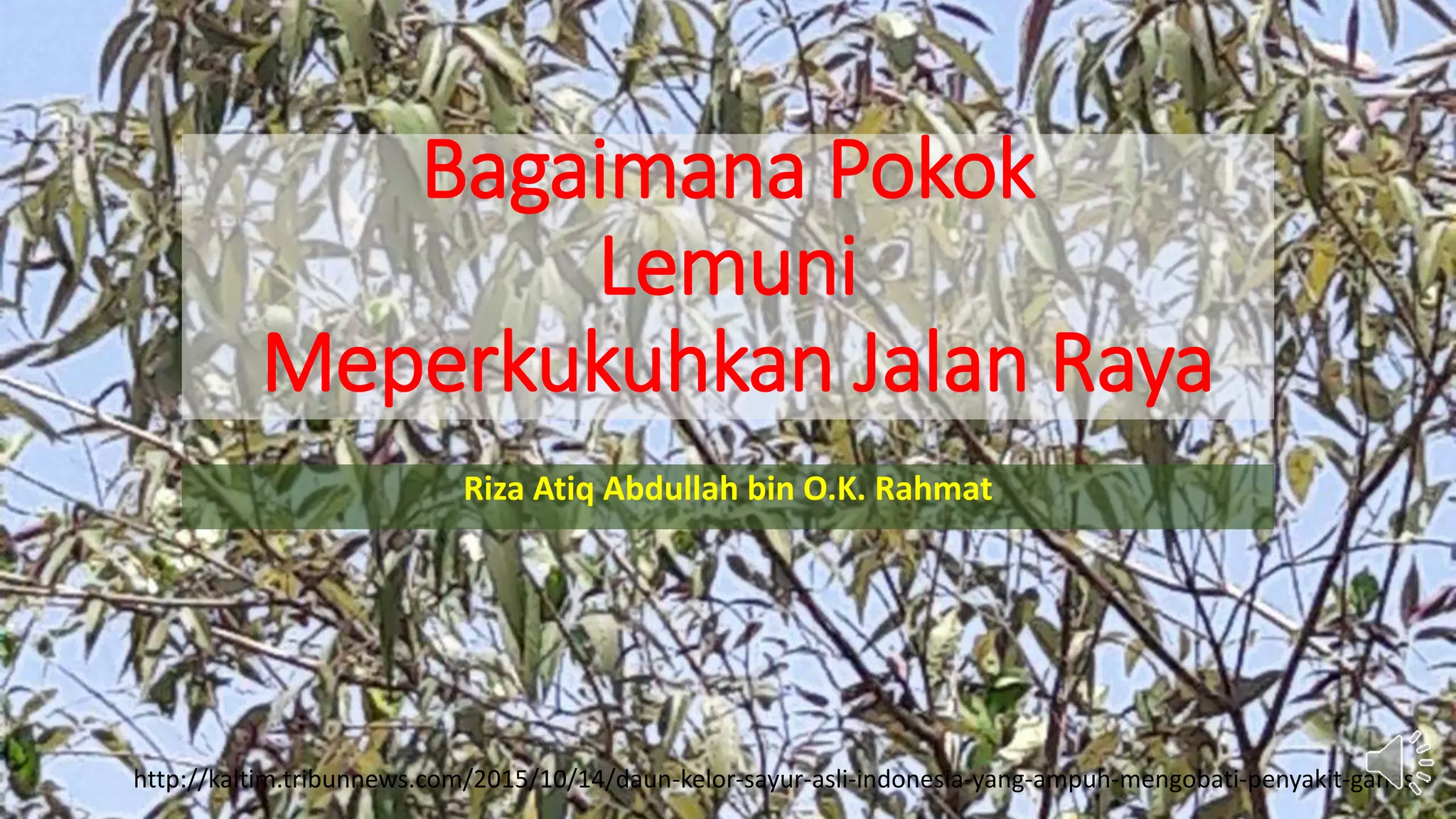 Pokok lemuni meperkukuhkan jalan raya2 | PPTX