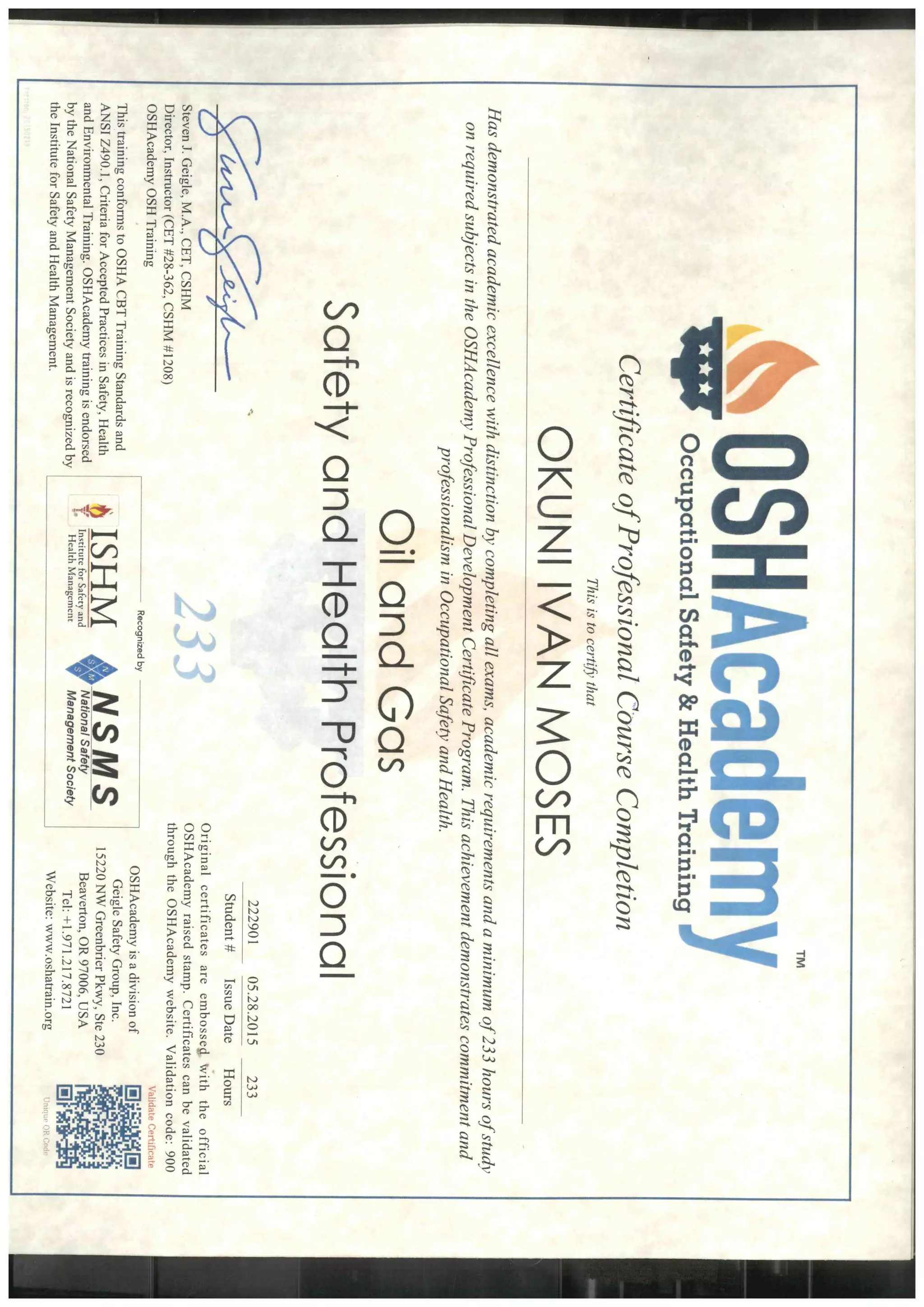 oil and gas safety and health professional | PDF