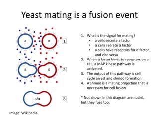 072412 high school teachers 2 | PPTX