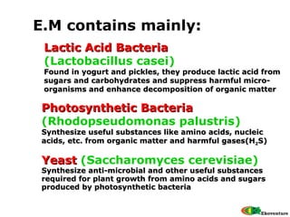 0727 Impact of SRI in Combination with Effective Microorganism ...
