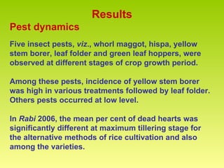 0728 Insect-Pest Dynamics and Arthropod Diversity in SRI and ...