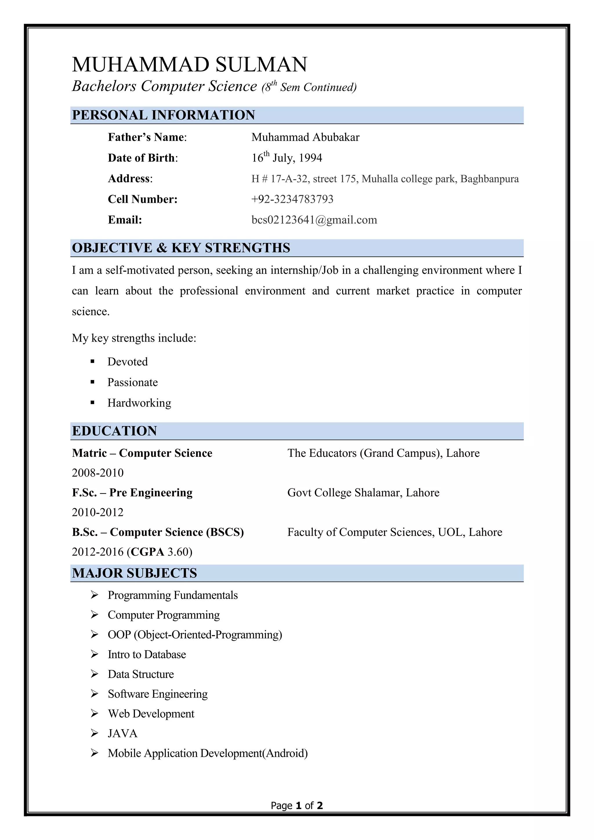 CV | PDF | Programming Languages | Computing