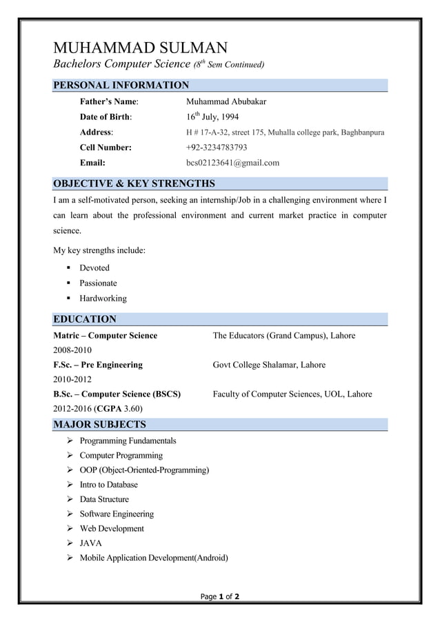 CV | PDF | Programming Languages | Computing