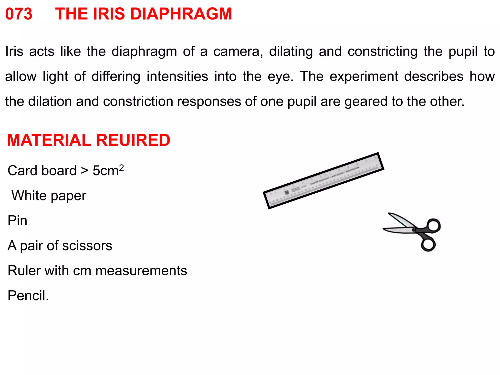 073 the iris diaphragm | PPT