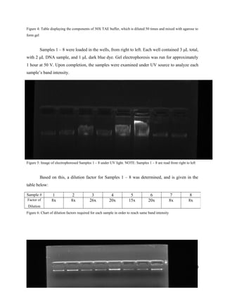 Final Project (Final Version) | DOC | Biological Sciences | Science