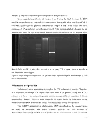 Final Project (Final Version) | DOC | Biological Sciences | Science