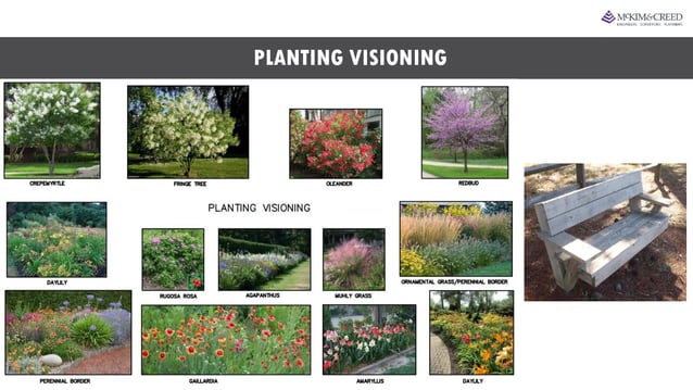 Multi-use Pathway Wetlands Trail Boardwalk & Pavement Rehabilitation | PPT