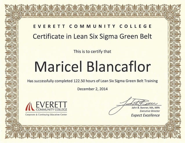 Certificate - Lean Six Sigma Green Belt | PDF