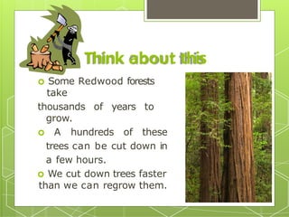 079-Lesson-Plan-Trees-Our-Past-and-Sustainable-Future-powerpoint.pptx