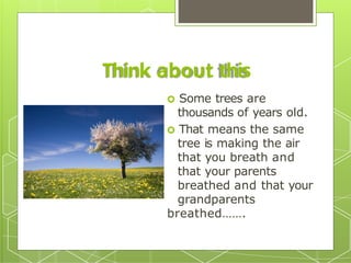 079-Lesson-Plan-Trees-Our-Past-and-Sustainable-Future-powerpoint.pptx