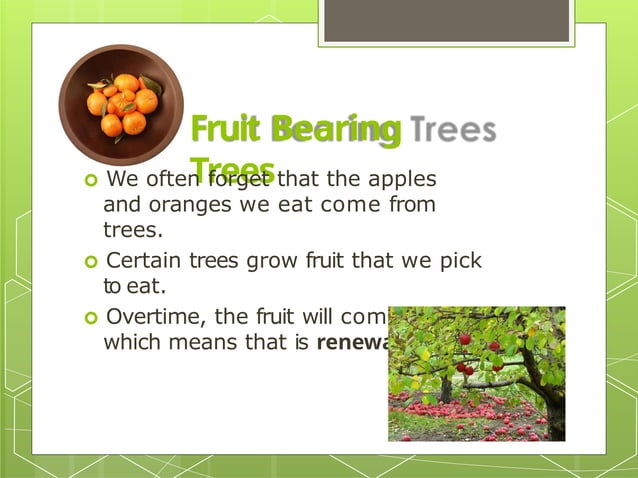 079-Lesson-Plan-Trees-Our-Past-and-Sustainable-Future-powerpoint.pptx