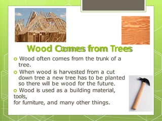 079-Lesson-Plan-Trees-Our-Past-and-Sustainable-Future-powerpoint.pptx