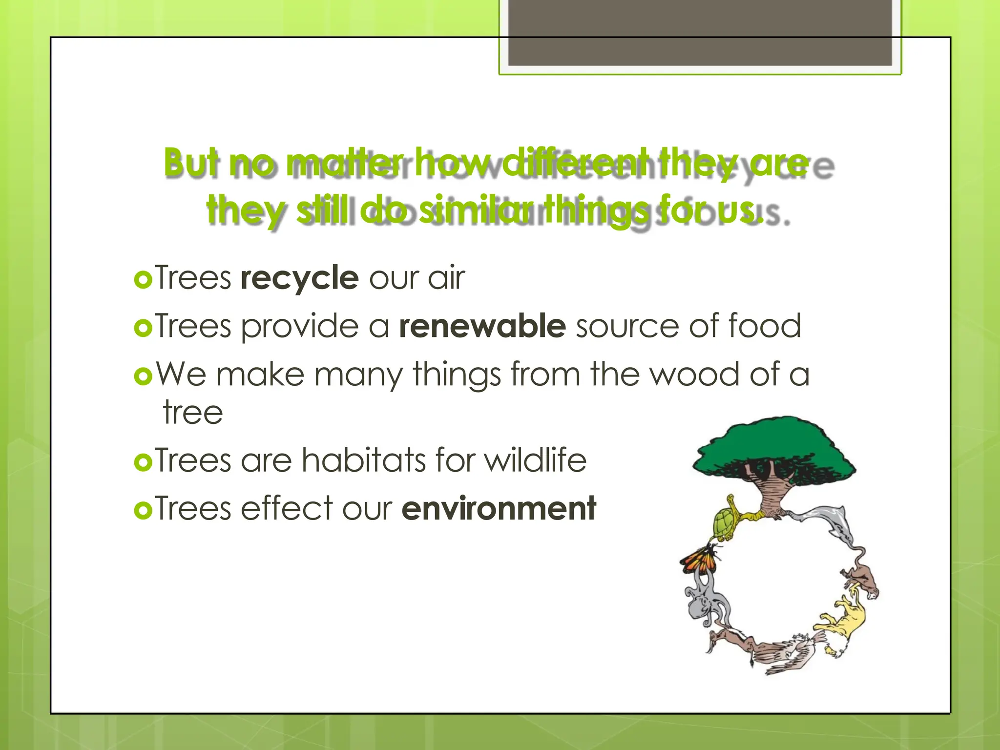 -Plan-Trees-Our-Past-and-Sustainable-Future-powerpoint.docx