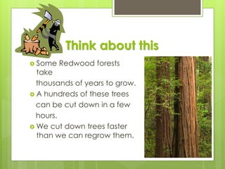 079-Lesson-Plan-Trees-Our-Past-and-Sustainable-Future-powerpoint (1).pdf