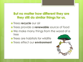 079-Lesson-Plan-Trees-Our-Past-and-Sustainable-Future-powerpoint (1).pdf