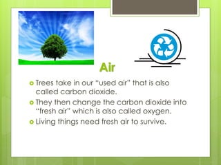 079-Lesson-Plan-Trees-Our-Past-and-Sustainable-Future-powerpoint (1).pdf