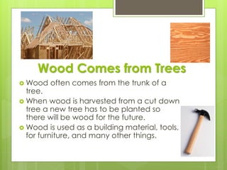 079-Lesson-Plan-Trees-Our-Past-and-Sustainable-Future-powerpoint (1).pdf