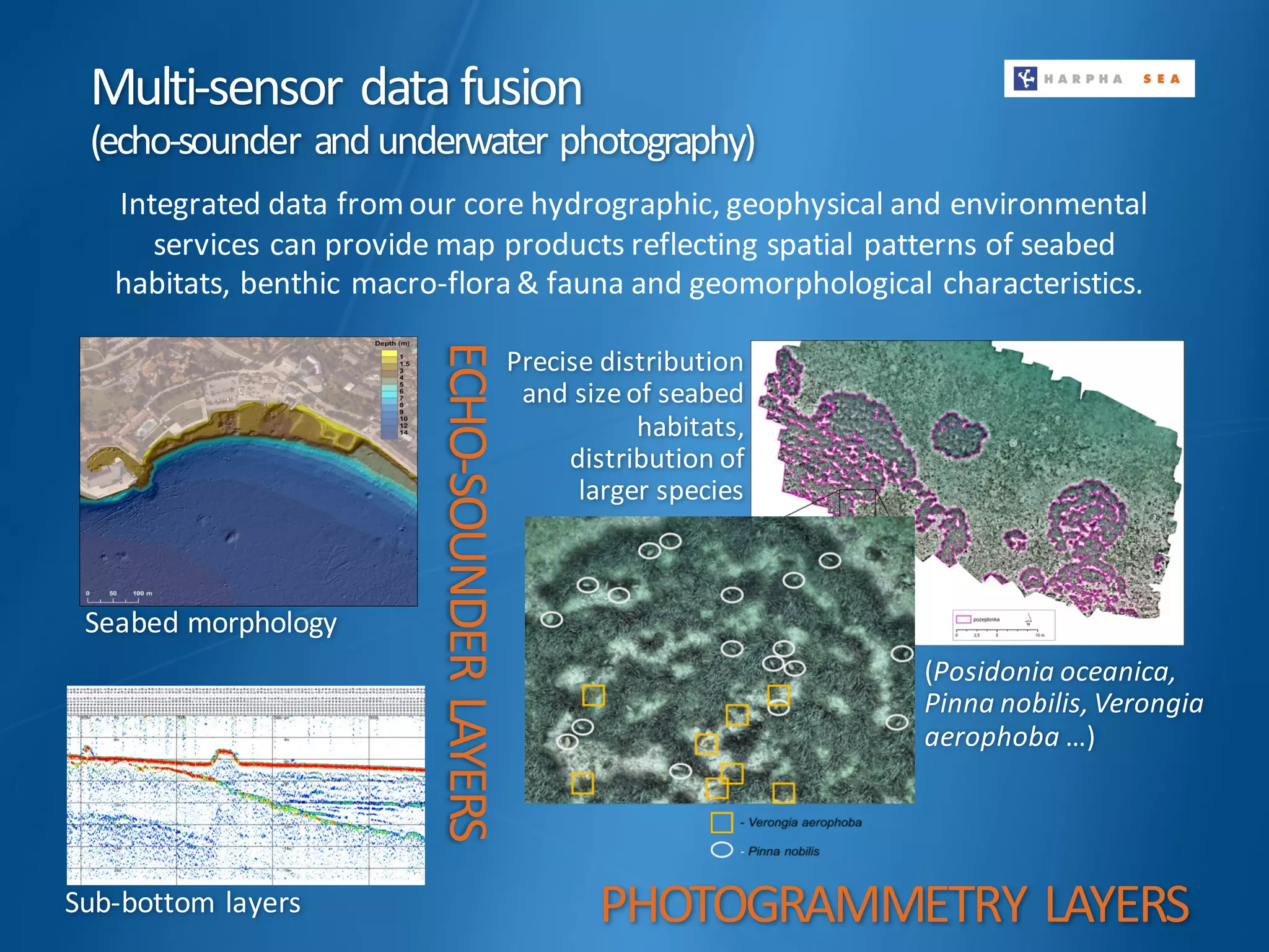 Seafloor mapping and visualisation_rev | PDF