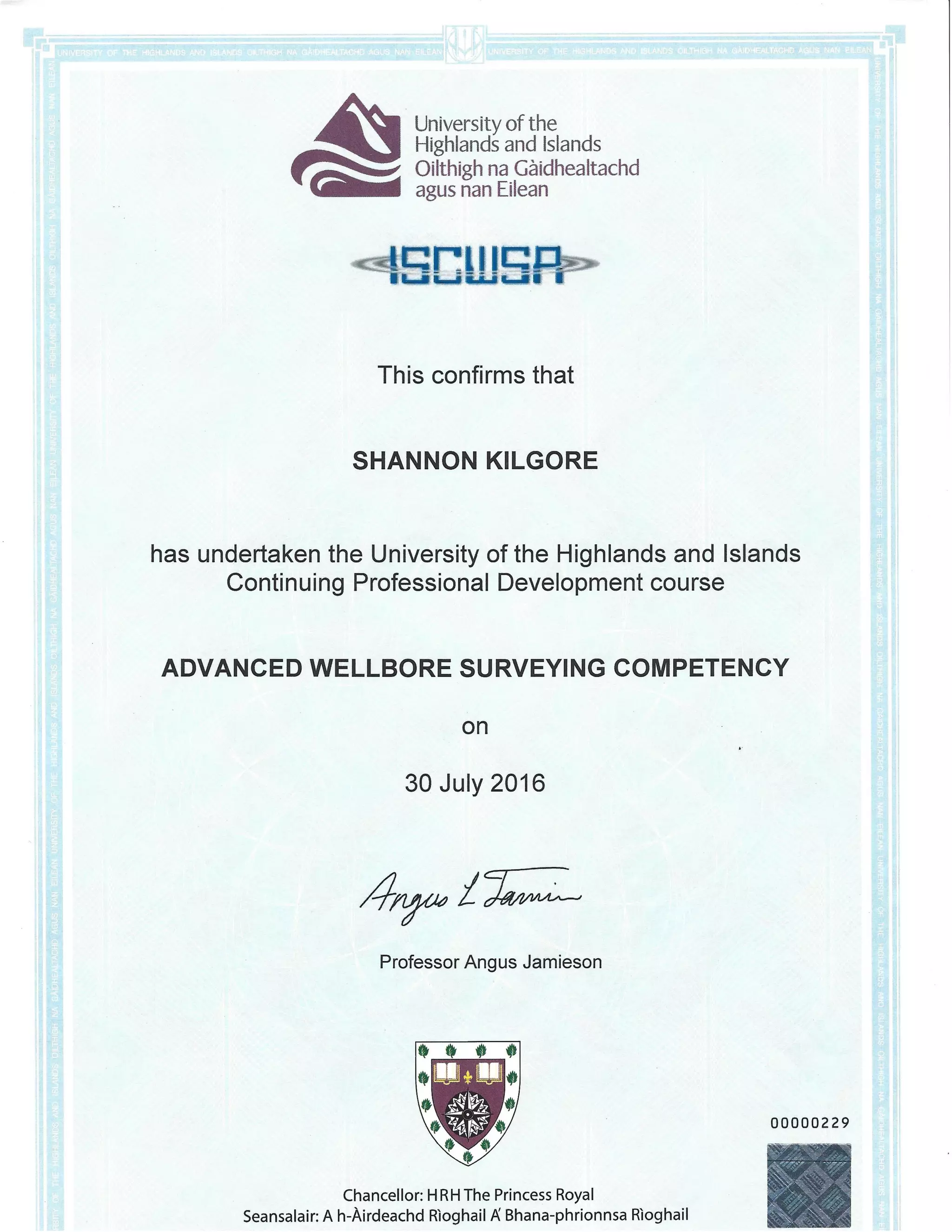 Advance Wellbore Survey | PDF