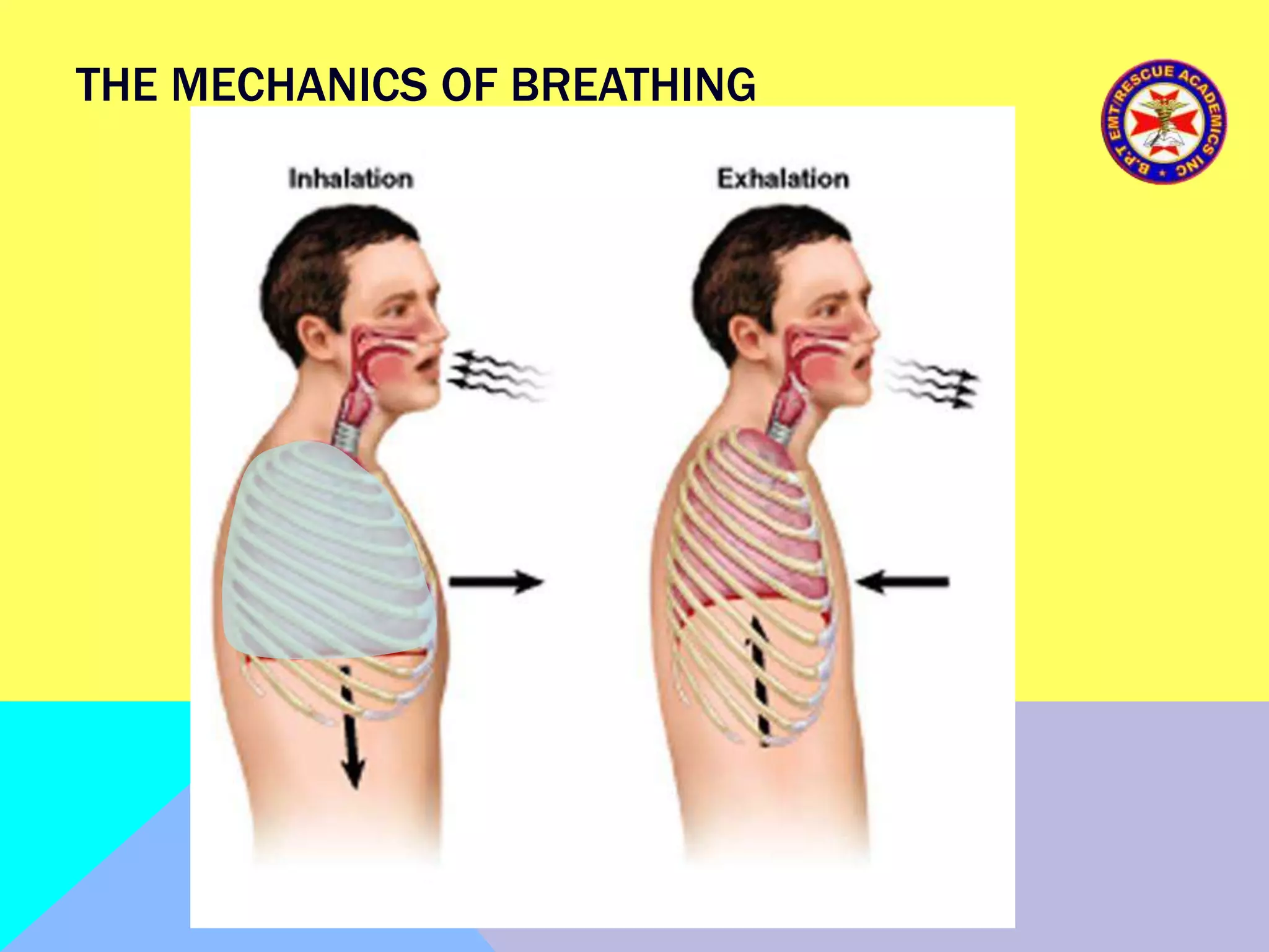 07 airway and_breathing_emergencies | PPT