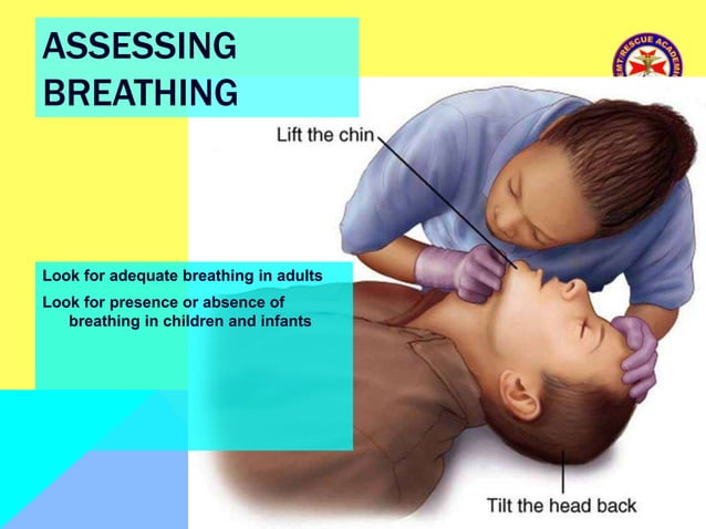 07 airway and_breathing_emergencies | PPT | Lung and Respiratory Health ...