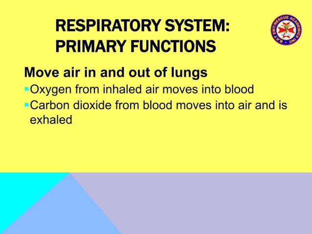 07 airway and_breathing_emergencies | PPT | Lung and Respiratory Health ...