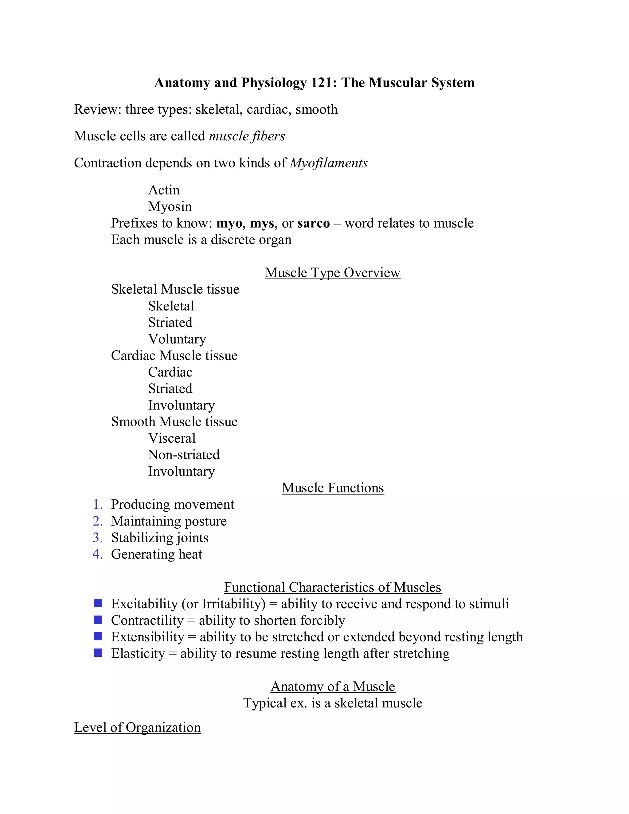 anatomy and physiology the muscular system | PDF