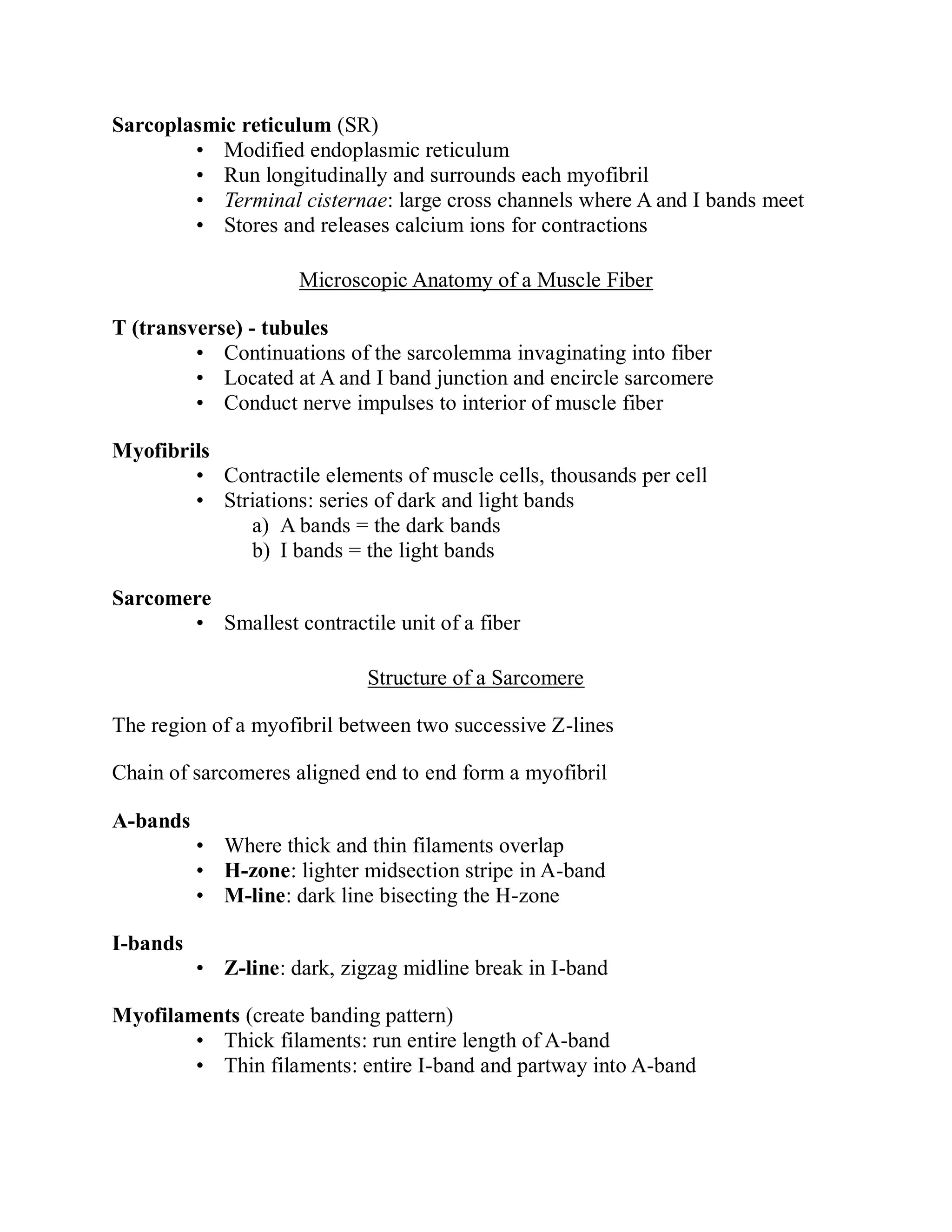 anatomy and physiology the muscular system | PDF