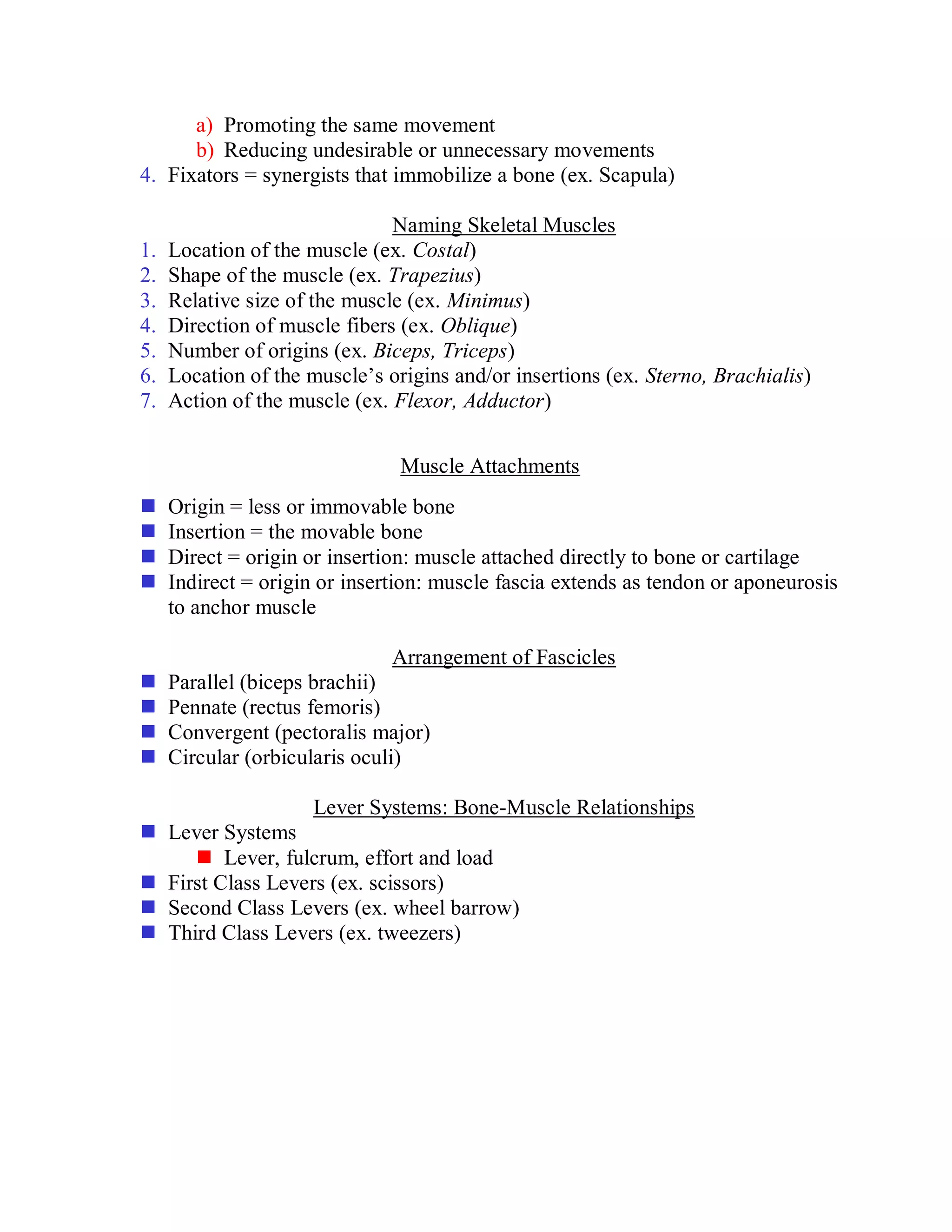 anatomy and physiology the muscular system | PDF