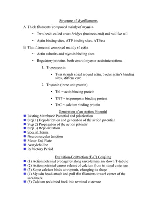 anatomy and physiology the muscular system | PDF