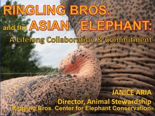 Ringling Bros. and the Asian Elephant: A Lifetime of Collaboration | PPTX