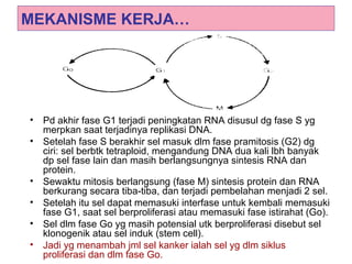 07antikanker | PPT