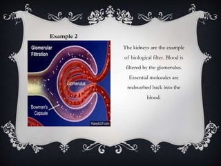 Filtration decantation and crystallization | PPTX