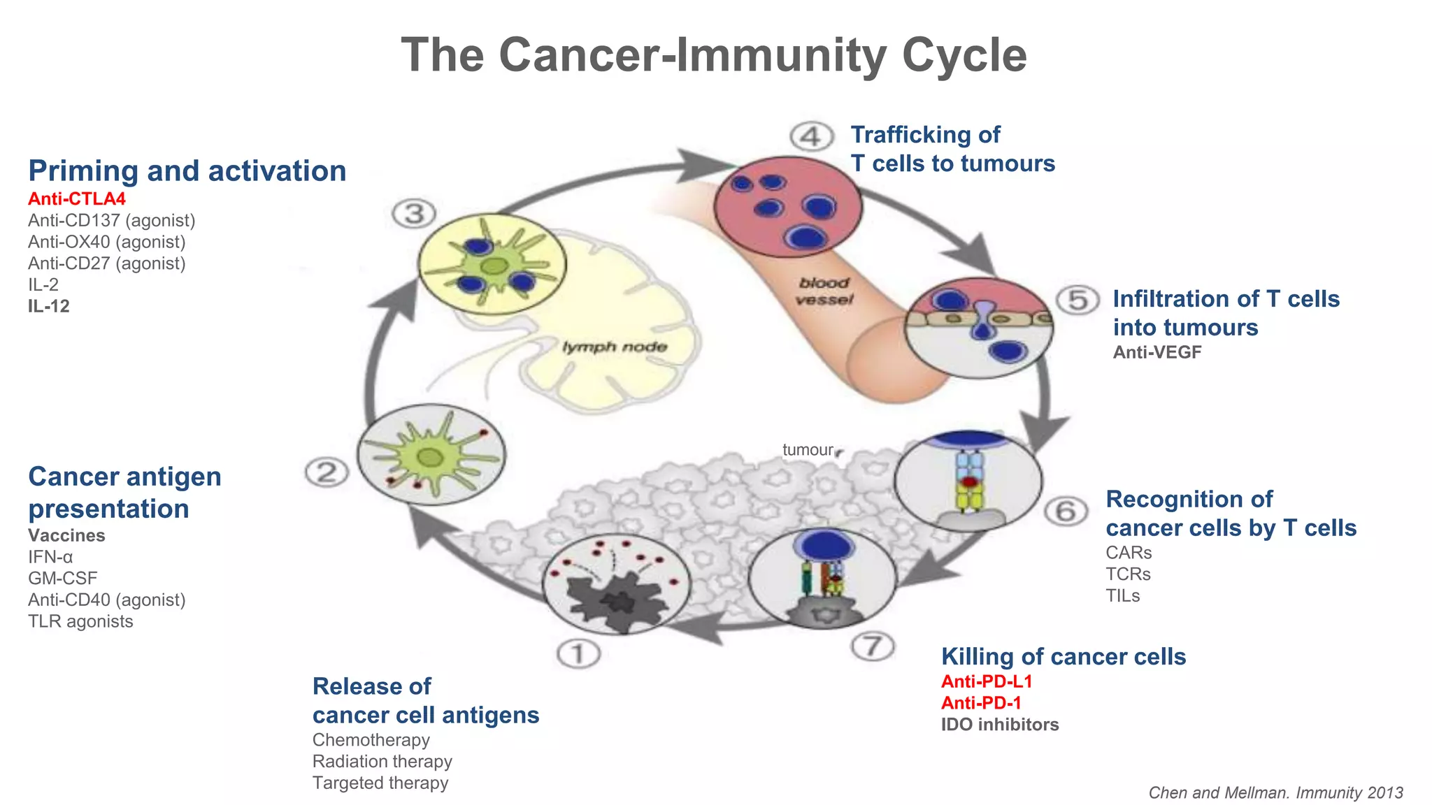 Immunological Checkpoints and Cancer Immunotherapy | PPTX