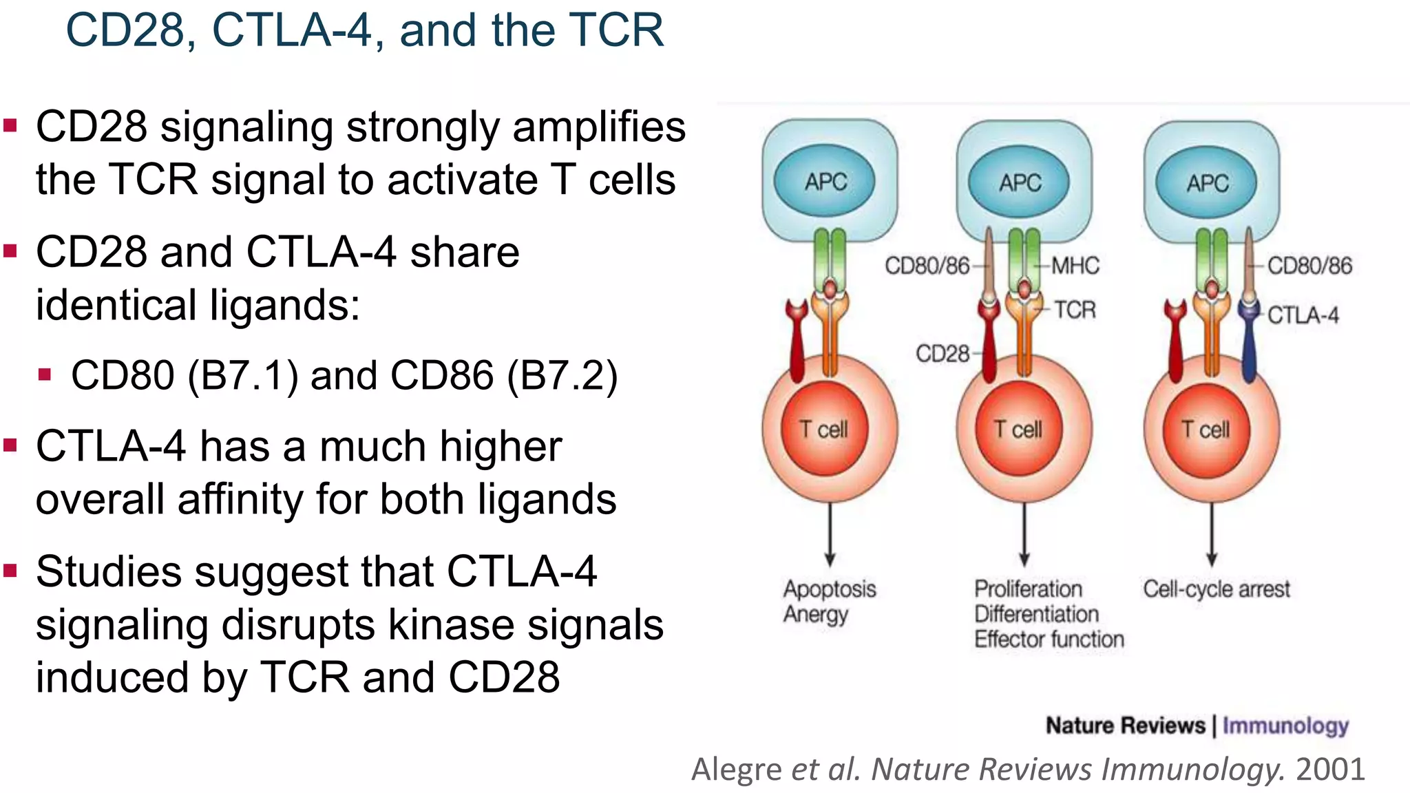 Immunological Checkpoints and Cancer Immunotherapy | PPTX