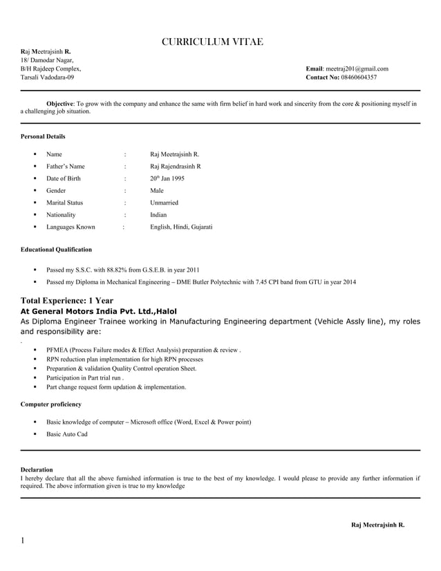 Raj Meetrajsinh Resume | DOC