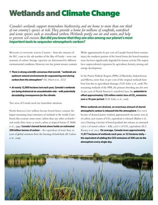 wetlands-climate-change-EN | PDF