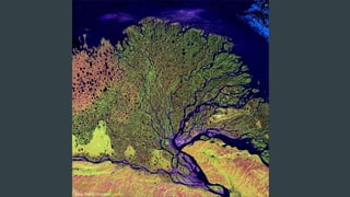 Redis Streams for Event-Driven Microservices | PPT