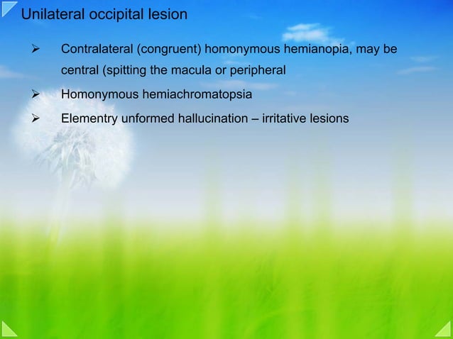 07b posterior association cortex | PDF