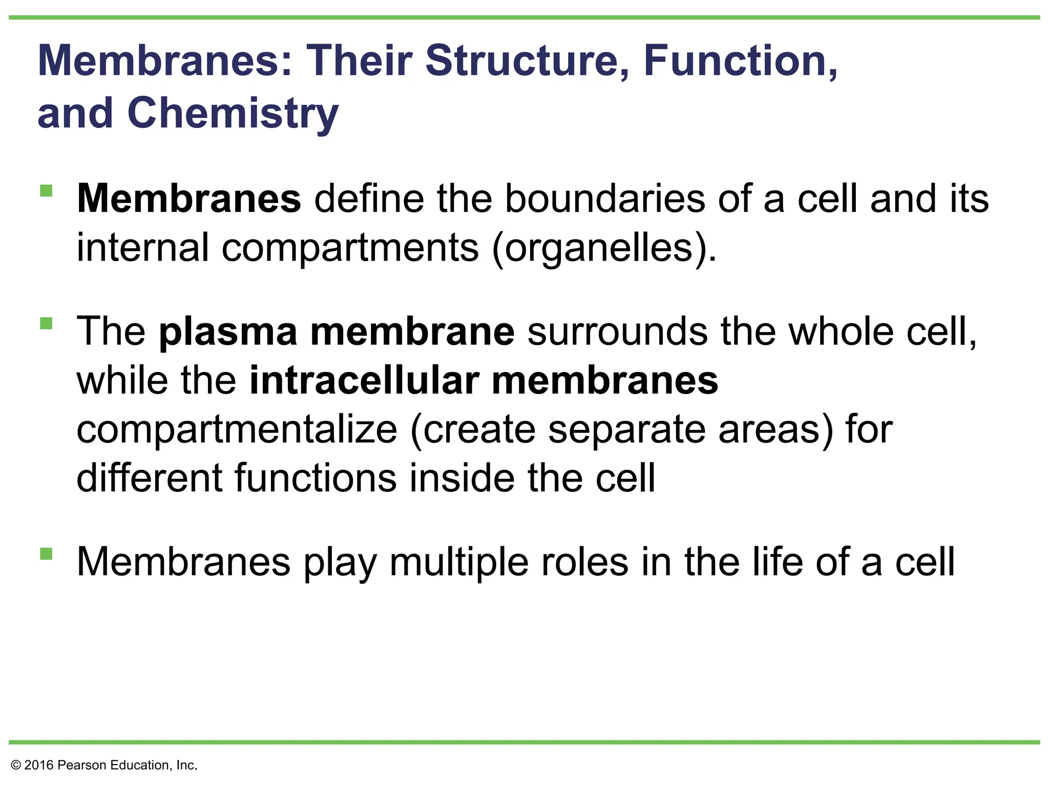 cell biology chapter seven: cell membrane | PPTX