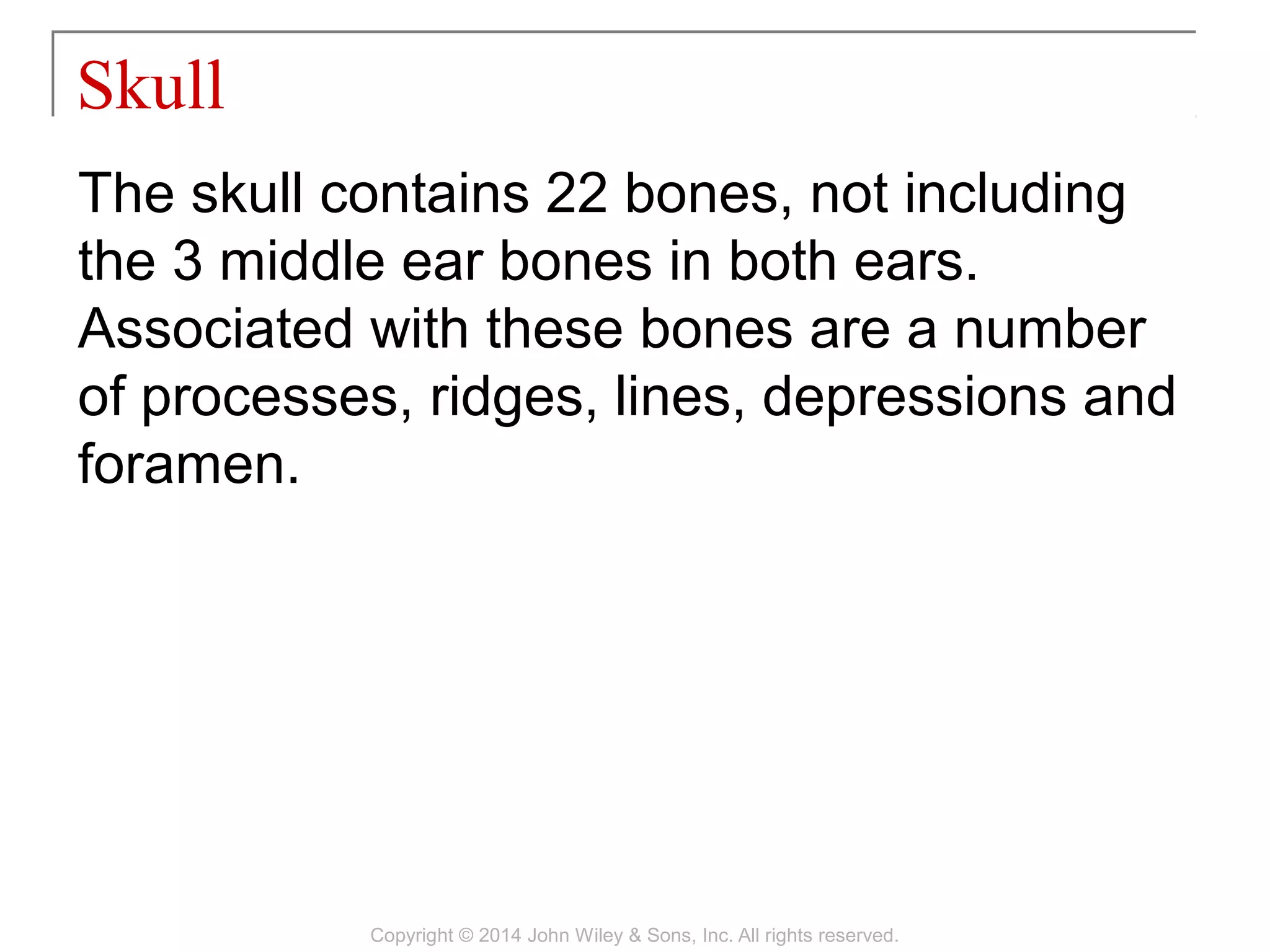 07 [chapter 7 the skeletal system the axial skeleton] | PPT